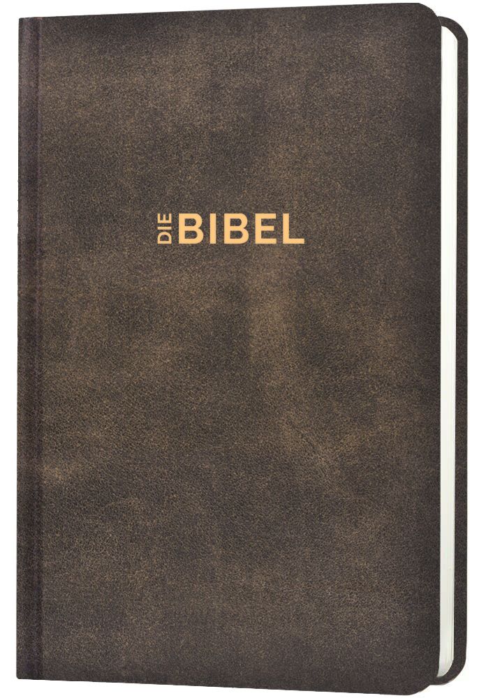 Schlachter 2000 Bibel - Taschenausgabe (Hardcover, illustrierter ...
